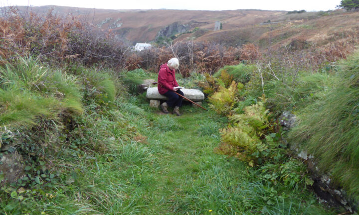 Welcome to Holy Wells - Holy Wells